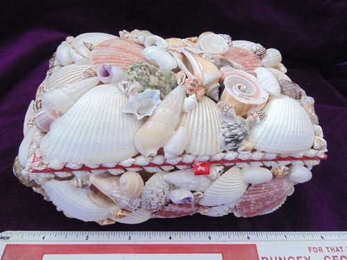 Vtg Sea Shell Covered Trinket Jewelry Box Red Felt Lined Treasure Chest ...