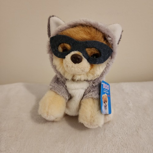 GUND Boo The World's Cutest Dog Itty Bitty Boo Raccoon #051 | eBay