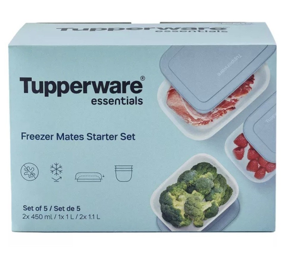 TUPPERWARE Freezer Mates 5-piece Starter Set - Frosted with Blue Lid ...