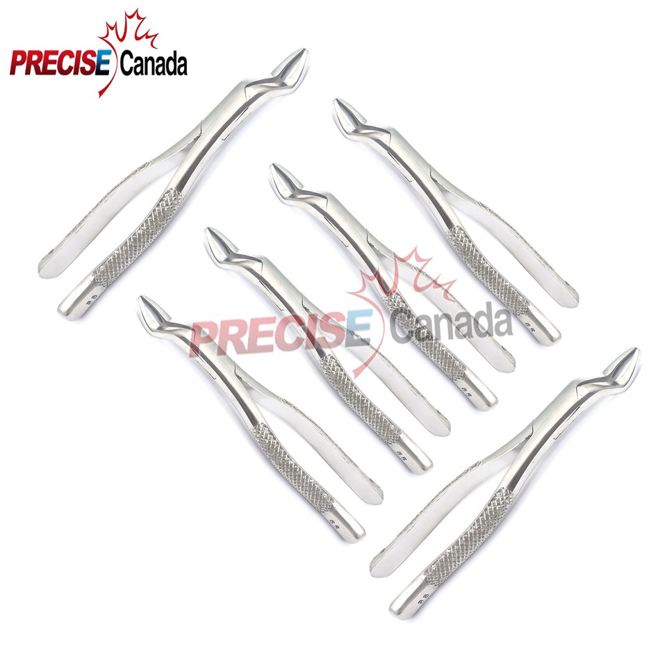 6 PCS EXTRACTING FORCEP # 65 DENTAL INSTRUMENTS | eBay
