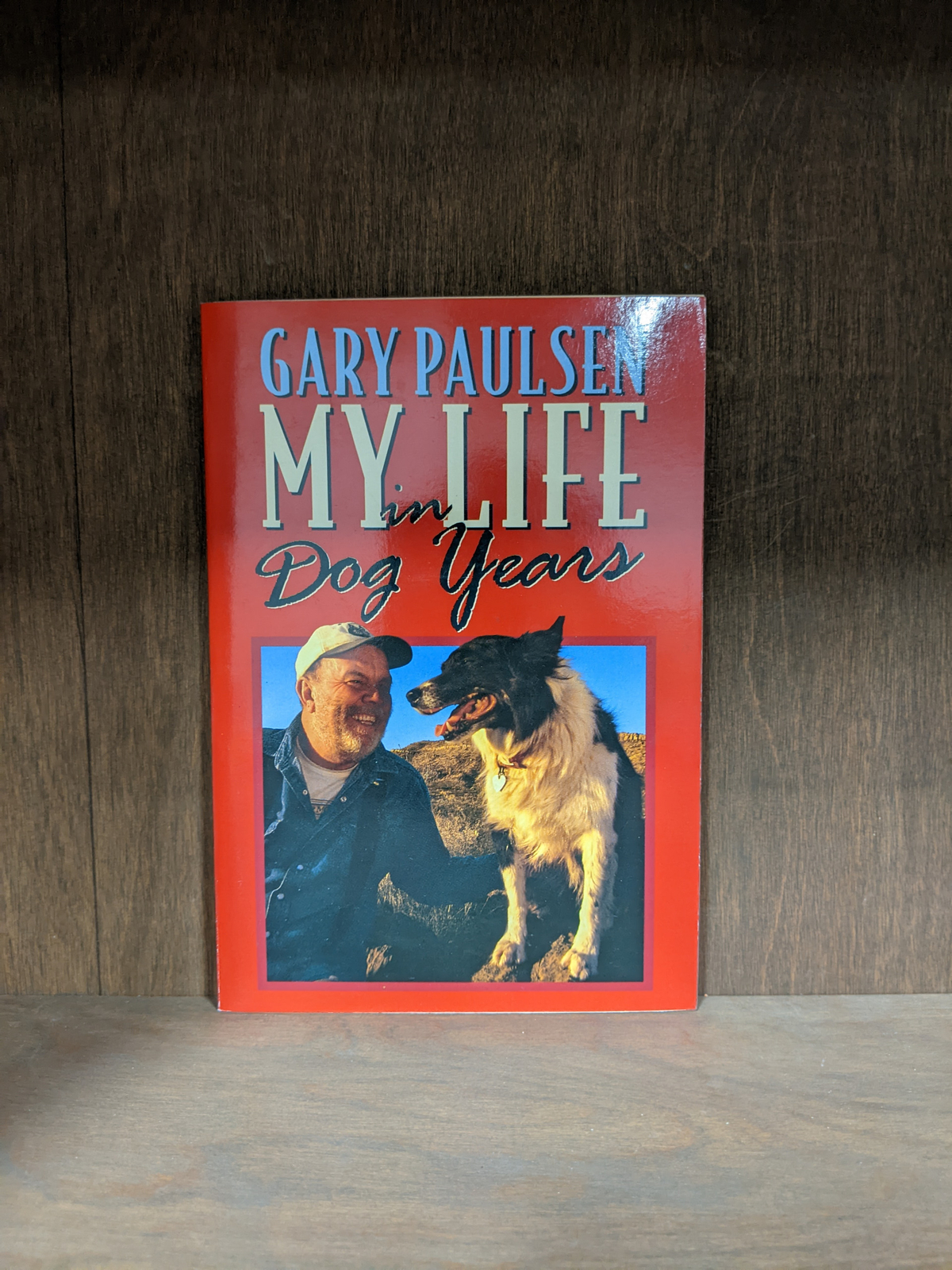 Gary Paulsens Dogs