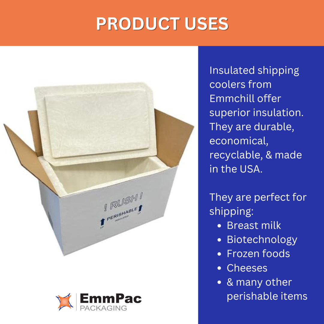 EmmChill UN20A Thermo Chill Insulated Carton with Foam Shipper, 17"x10 ...