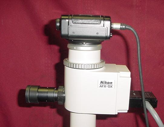 Nikon Labophot 2 Trinocular Microscope | eBay