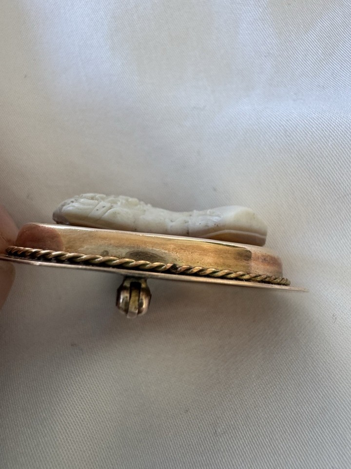 Cameo Shell Cameo 10k Gold Incredible Definition Brooch Pin | eBay