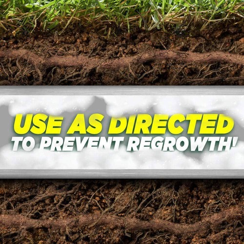 FOAMING Root Killer 10Lb Kills Tree Roots in Pipes & Sewer Line Drain ...