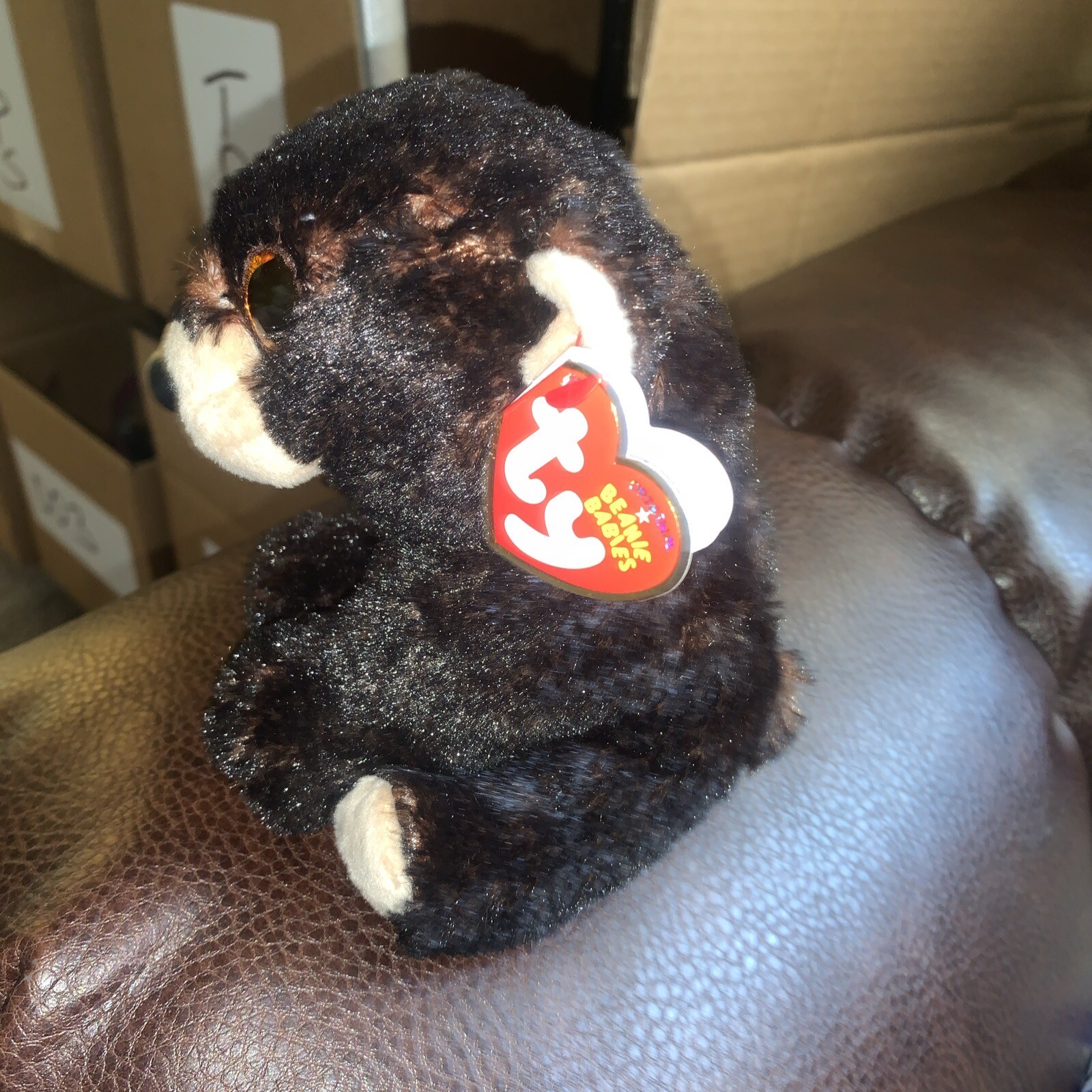 TY Beanie Baby 6" Kodi Alaskan Kodiak Black Bear Plush Stuffed Animal ...