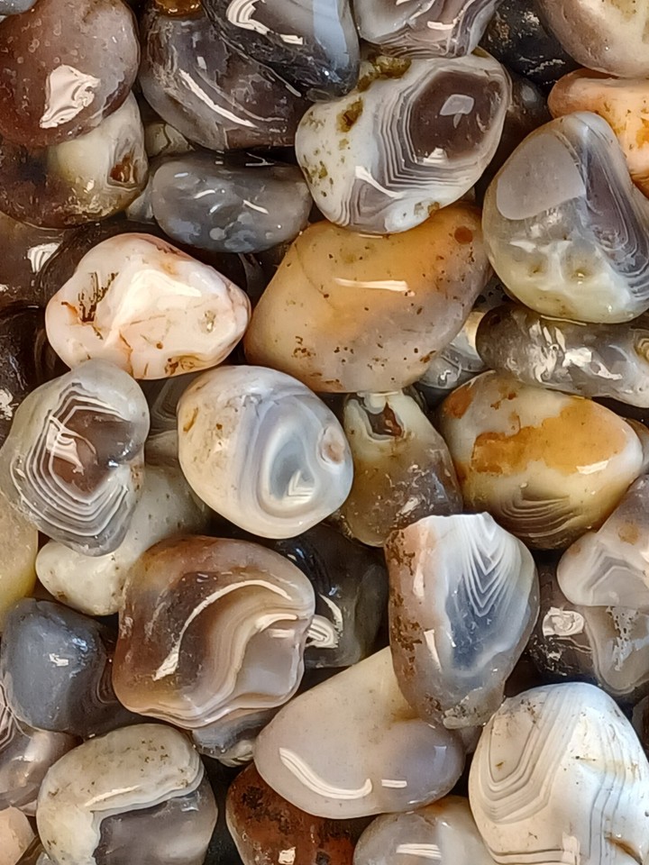 Botswana Agate rough 1-2" A+ pound lbs tumbling lapidary banding ...