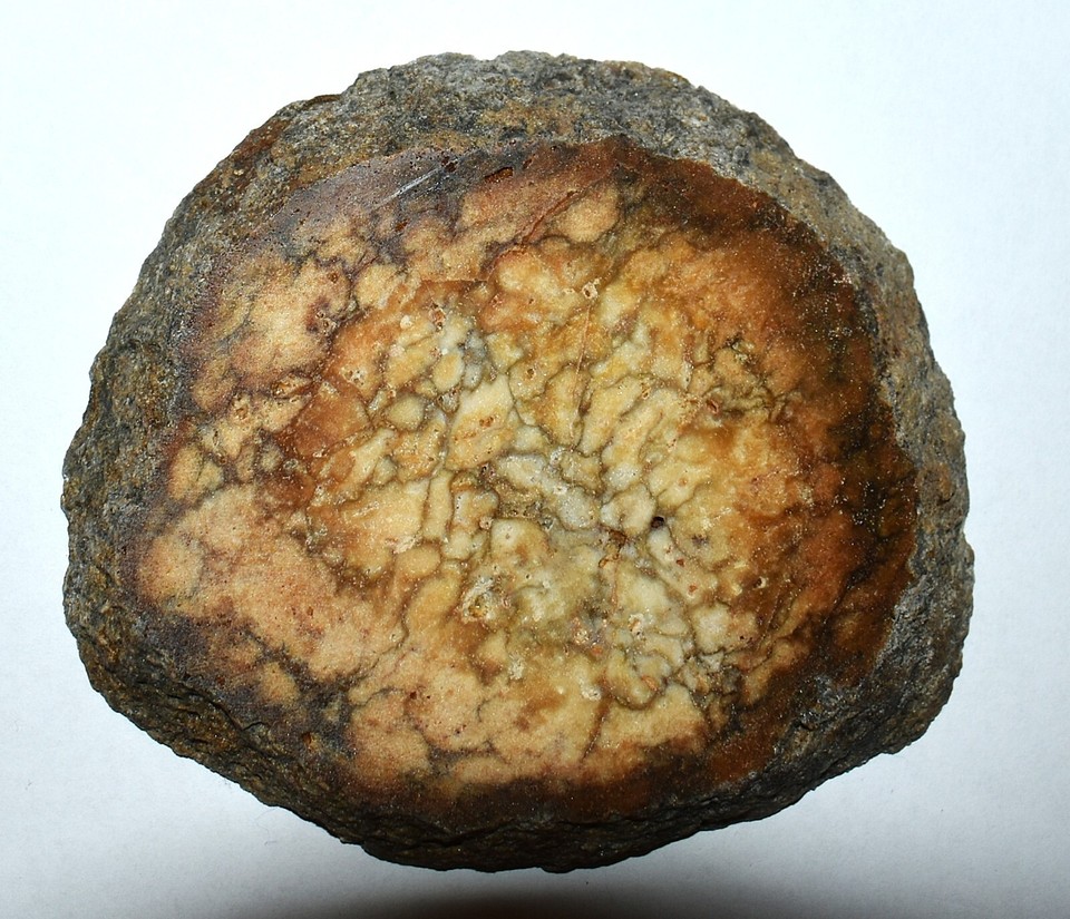 Geode Brain Chalcedony and Drusy Polished Rare North Carolina Coaster ...