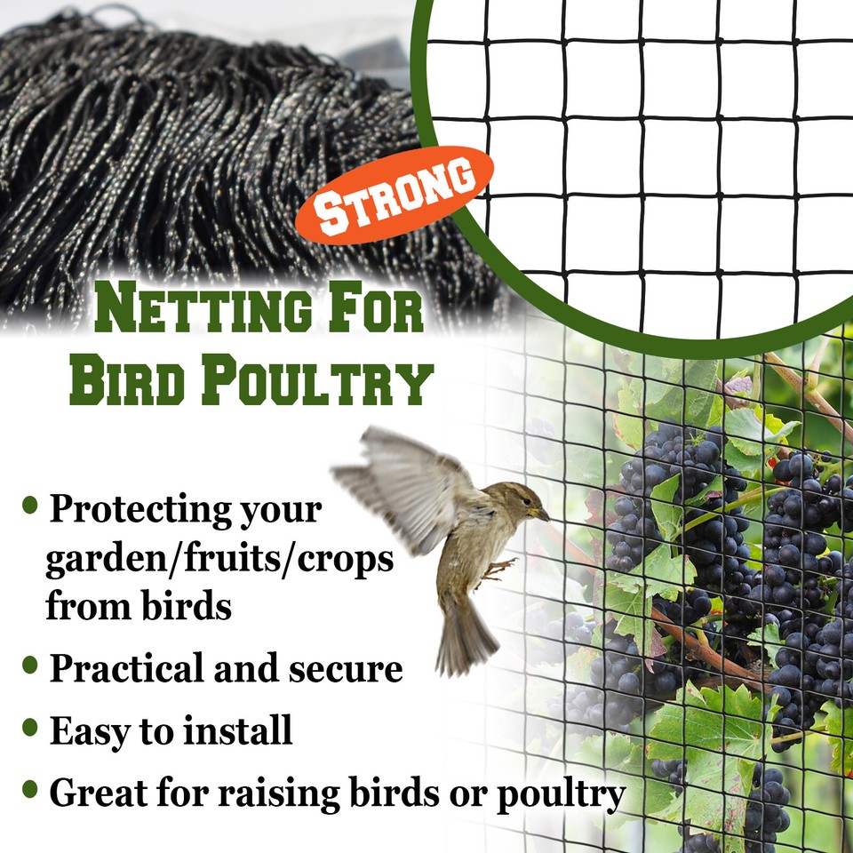 Multi-size Anti Bird Netting Bird Barrier Poultry Aviary Net Pens 2 ...