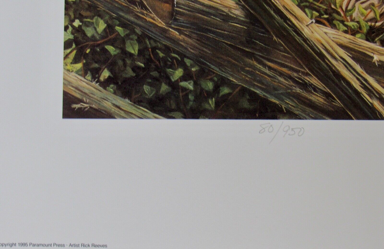 Rick Reeves - Remember Ireland and Fontenoy - Civil War Print - Mint ...