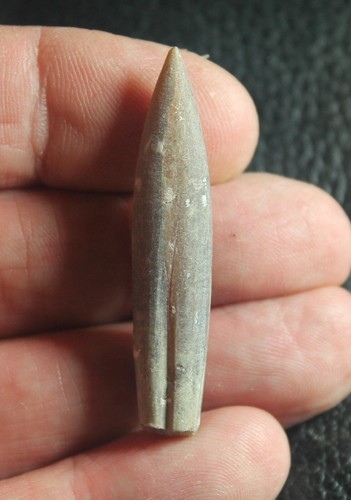 Belemnopsis semiarcuatus - Jurassic, Callovian belemnite | eBay