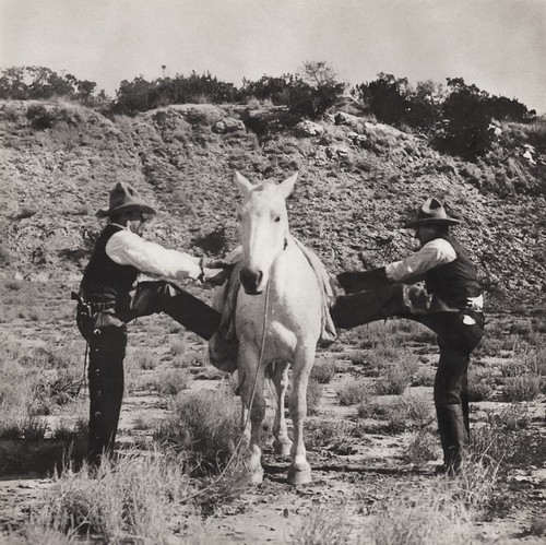 1908/52 Vintage WESTERN COWBOY HORSE Stallion 11x14 Photo Art By ERWIN ...