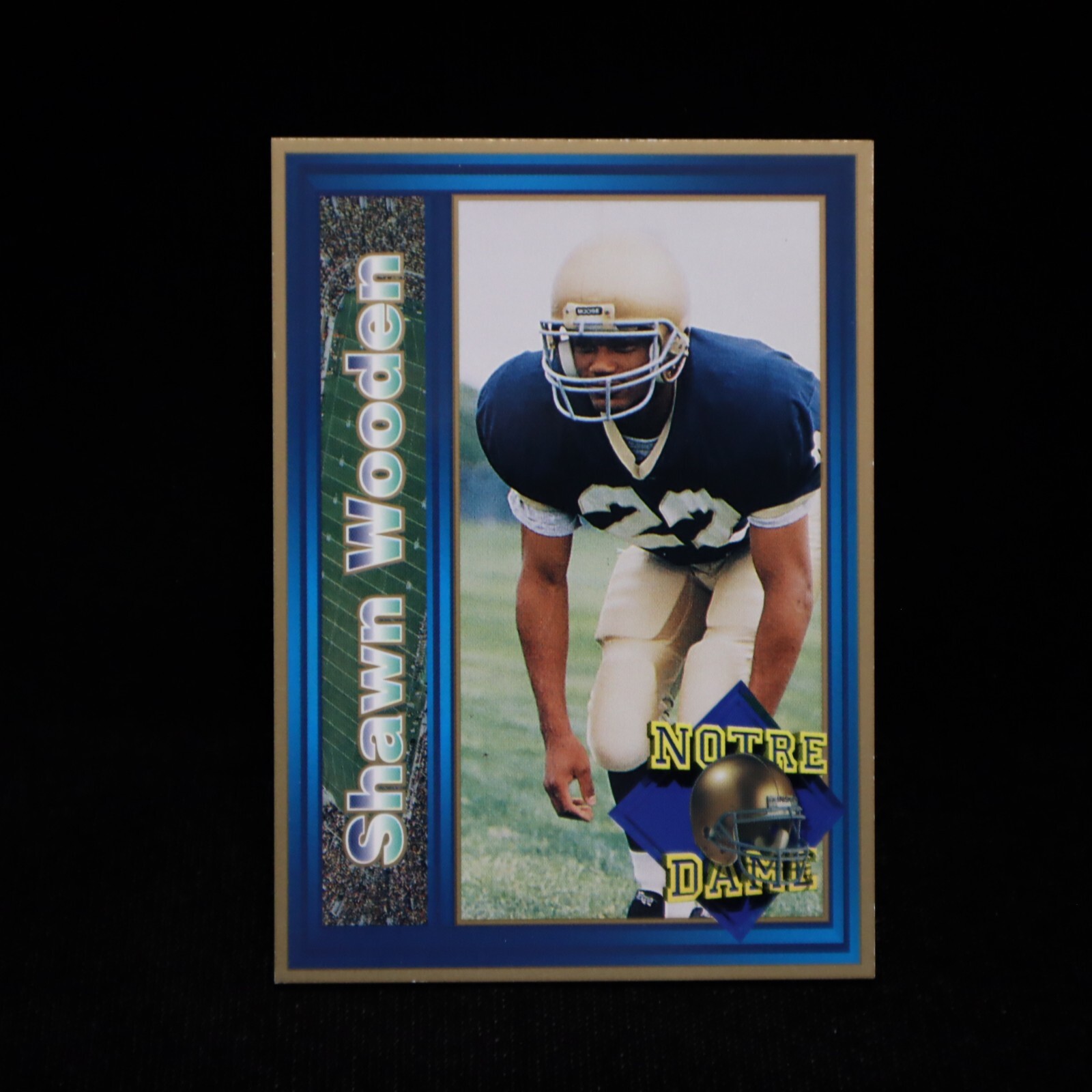 1993 Shawn Wooden University of Notre Dame #22 | eBay