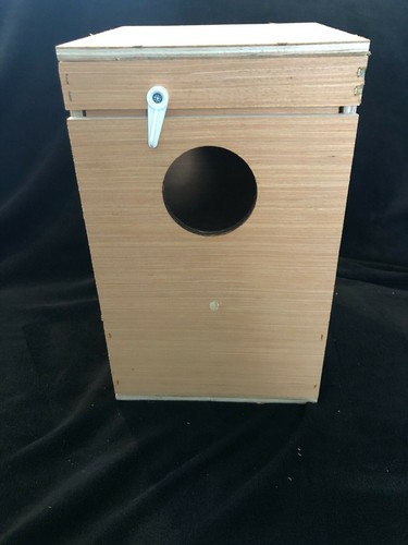 front cockatiel nest box kakariki breeding 8 inch square x 8 inch 12 ...