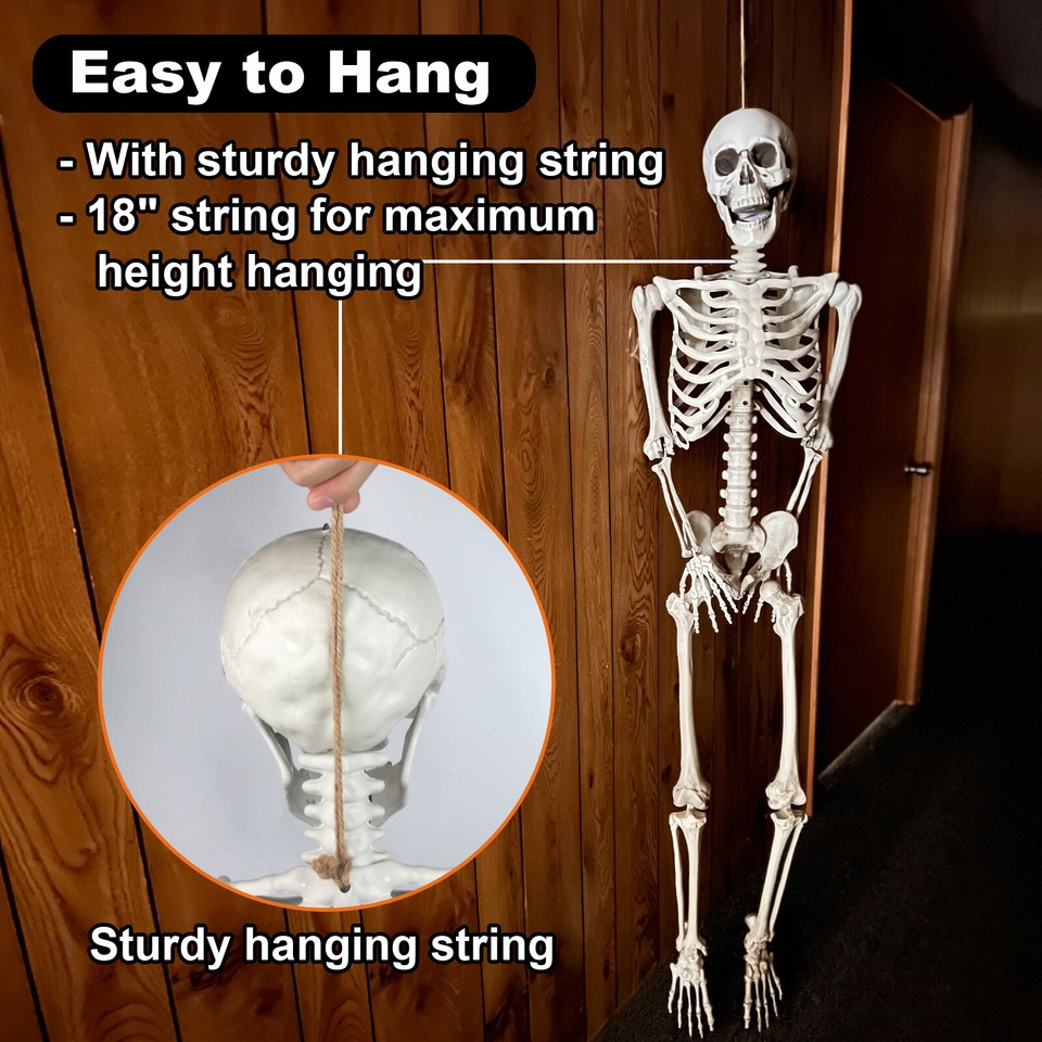 5.5FT Halloween Life Size Skeleton 66" Realistic Posable Human Hanging ...
