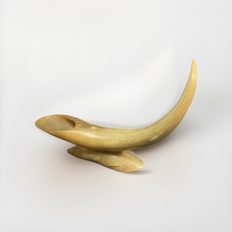 Vintage Cornucopia Vase Bull Steer Horn Cow Bull Western Decor Estate ...