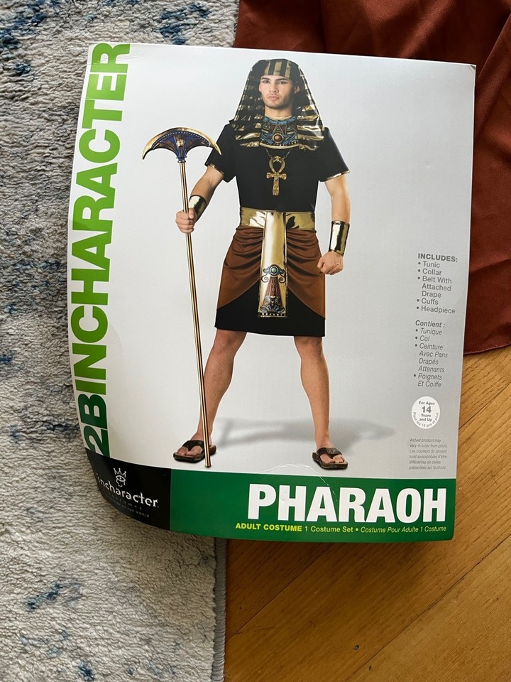 ADULT MEN'S KING TUT EGYPTIAN PHARAOH w/ COBRA STAFF NextDayShip | eBay