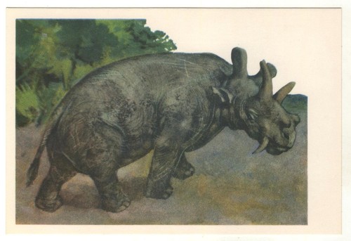 1969 UINTATHERIUM Dinosaur PREHISTORIC Extinct ANIMALS PALEONTOLOGY ...
