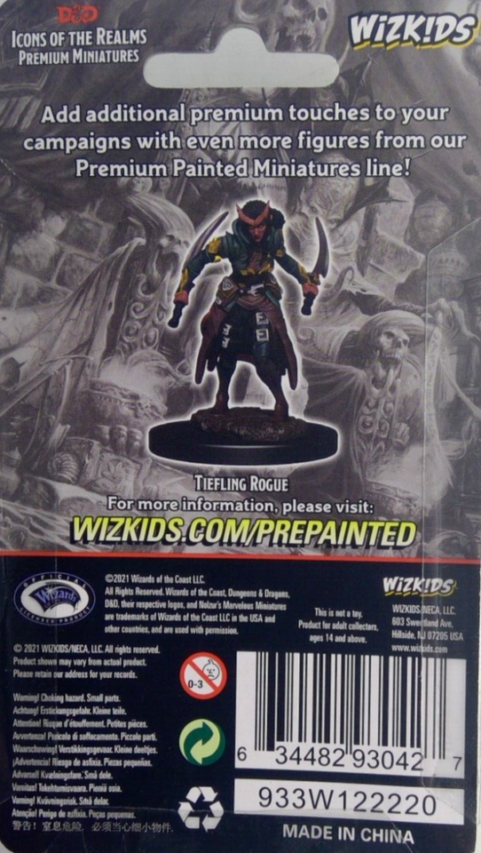 DUNGEONS & DRAGONS ICONS PREMIUM MINIATURES ~ TIEFLING FEMALE ROGUE | eBay