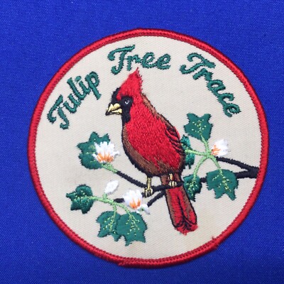 Boy Scout Tulip Tree Trace Trail Patch With Cardinal 2311B1 | eBay