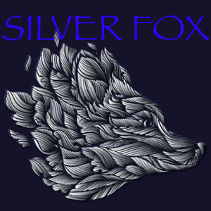 Silver Fox Skate & Sport | eBay Stores