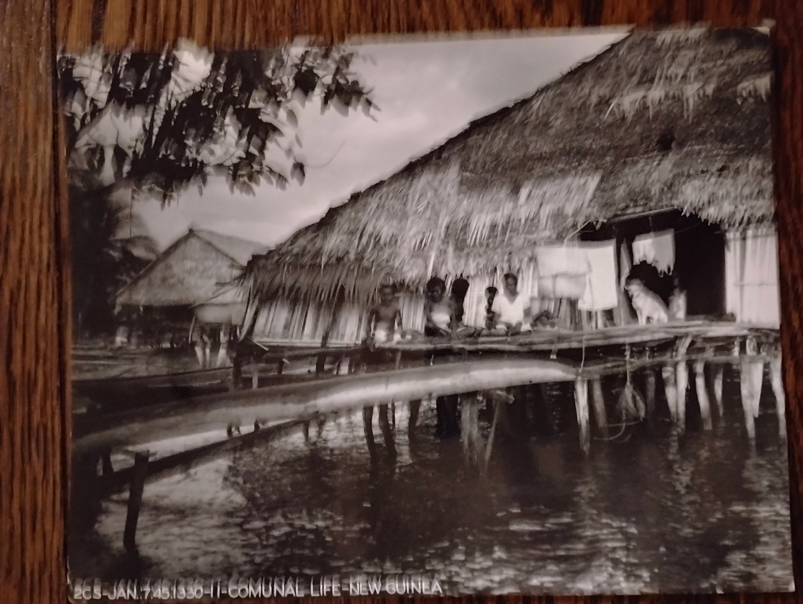 Dutch New Guinea Type 1 Photo Audrey Meadows Estate Auction ...