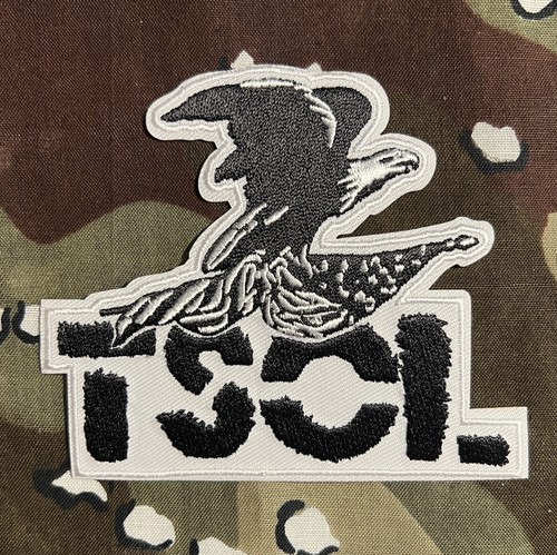 T.S.O.L. True Sounds Of Liberty TSOL Embroidered Patch T023P | eBay