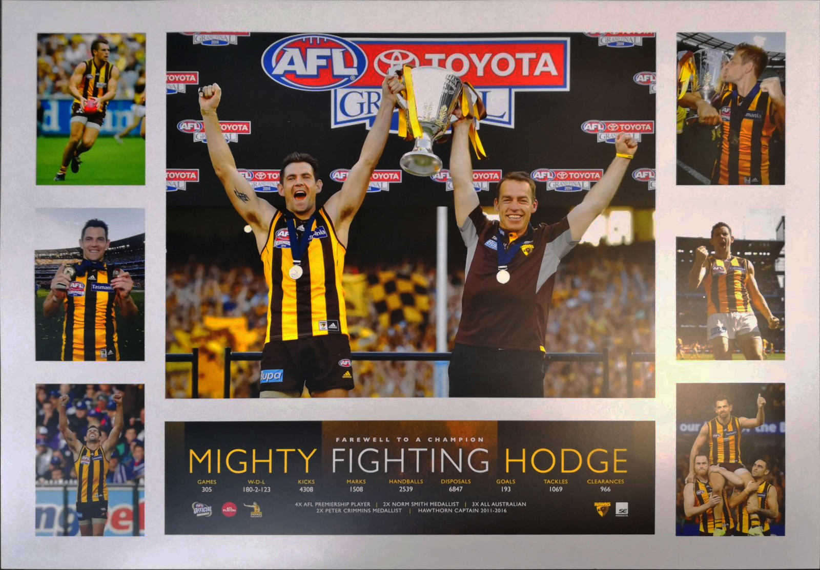 Luke Hodge Hawthorn Official AFL Mighty Fighting Hawks Deluxe ...