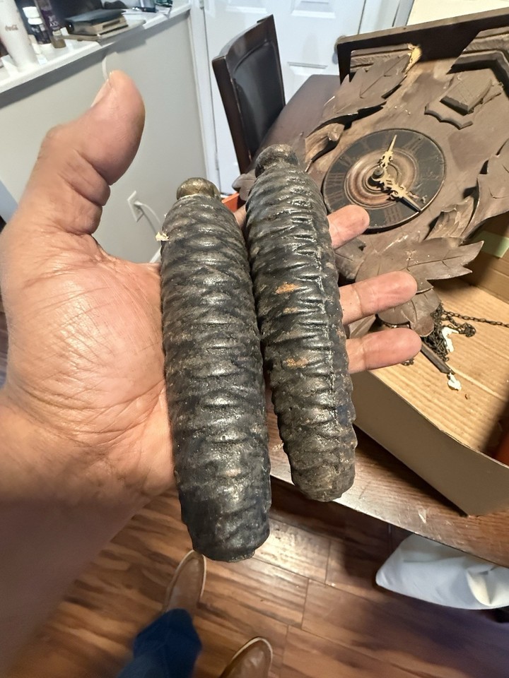 Antique American Cuckoo Clock Co, Cuckoo Clock for Repair | eBay