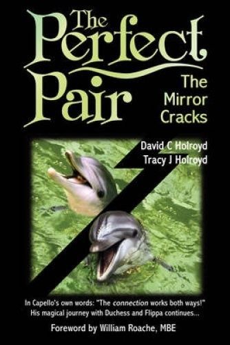 The Perfect Pair: The Mirror Cracks by David C. Holroyd, Tracy J ...