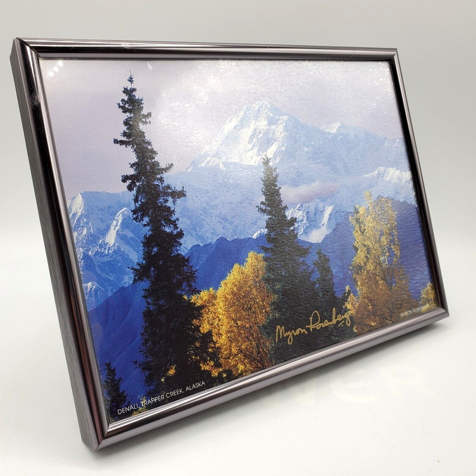 Myron Rosenberg Art Photo Denali Trapper Creek Alaska Print FRAMED 8X10 myron-rosenberg-art-photo-denali-trapper-creek-alaska-print-framed-8x10