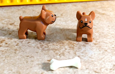 LEGO French Bulldog Brown FRENCHIE Nougat FREE BONE Dog Short Tail Cute ...