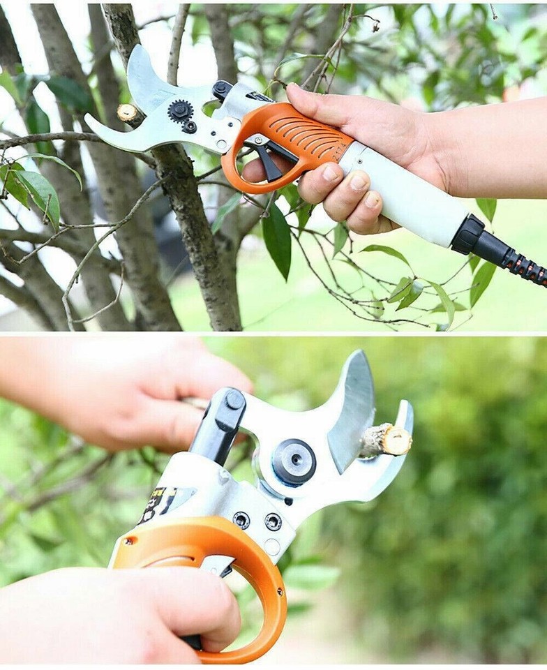36V Electric fruit tree scissors Rechargeable Tree Branch Pruning ...