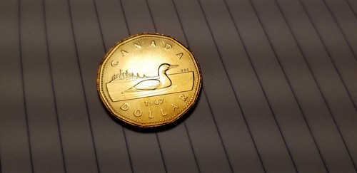 1987 Canada $1 Loon Coin First Canadian Loon Dollar Coin. | eBay