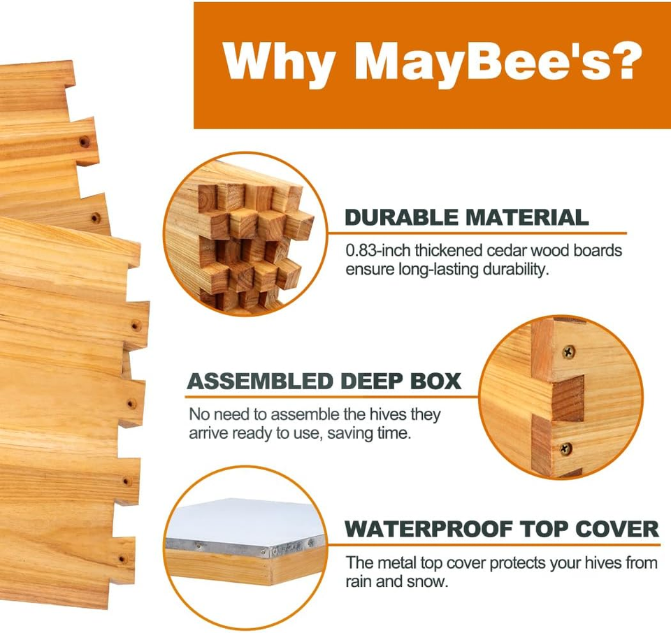 Maybee 10-Frame Beehive Starter Kit, Bee Hive Kit Dipped in 100% ...