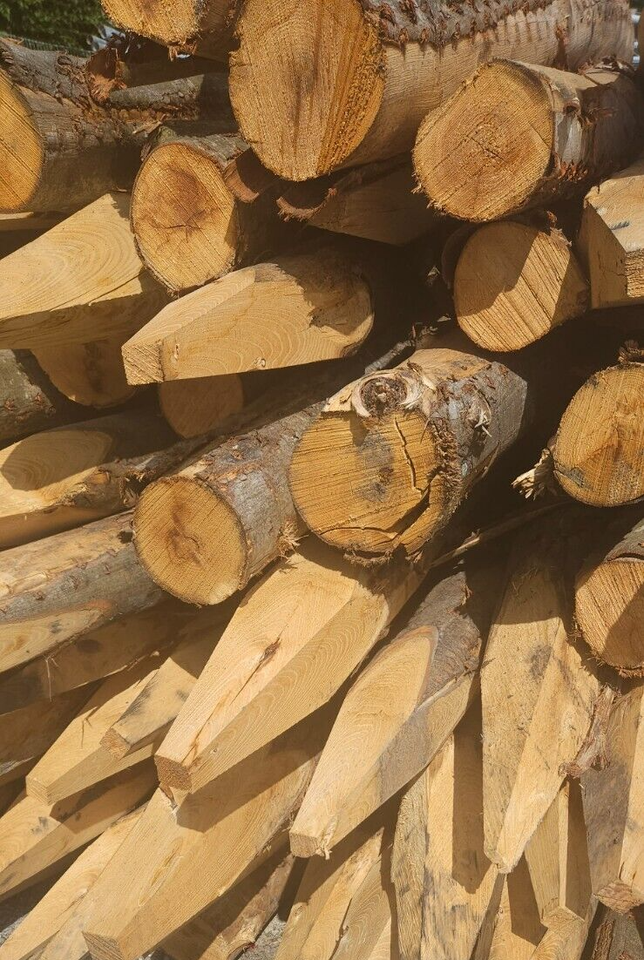 8ft Chestnut Stakes | eBay UK