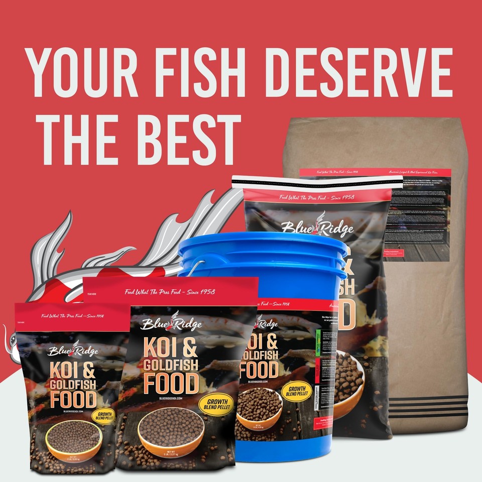 Blue Ridge Koi Fish Food 25lb - Koi Food 3/16” Large and Mini Blend ...