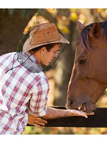 2 Pack Head Net Face Mesh Head Cover for Outdoor Lovers Protect from ...