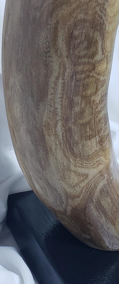 PREHISTORIC Rhino Horn Replica Custom ART 16" Realism MADE FROM WOOD 🦏 ...