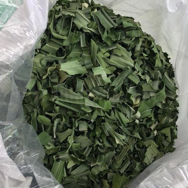 Pandan Leaves Rampe Natural Organic Sun Dried Spice Ceylon 100% Pure ...