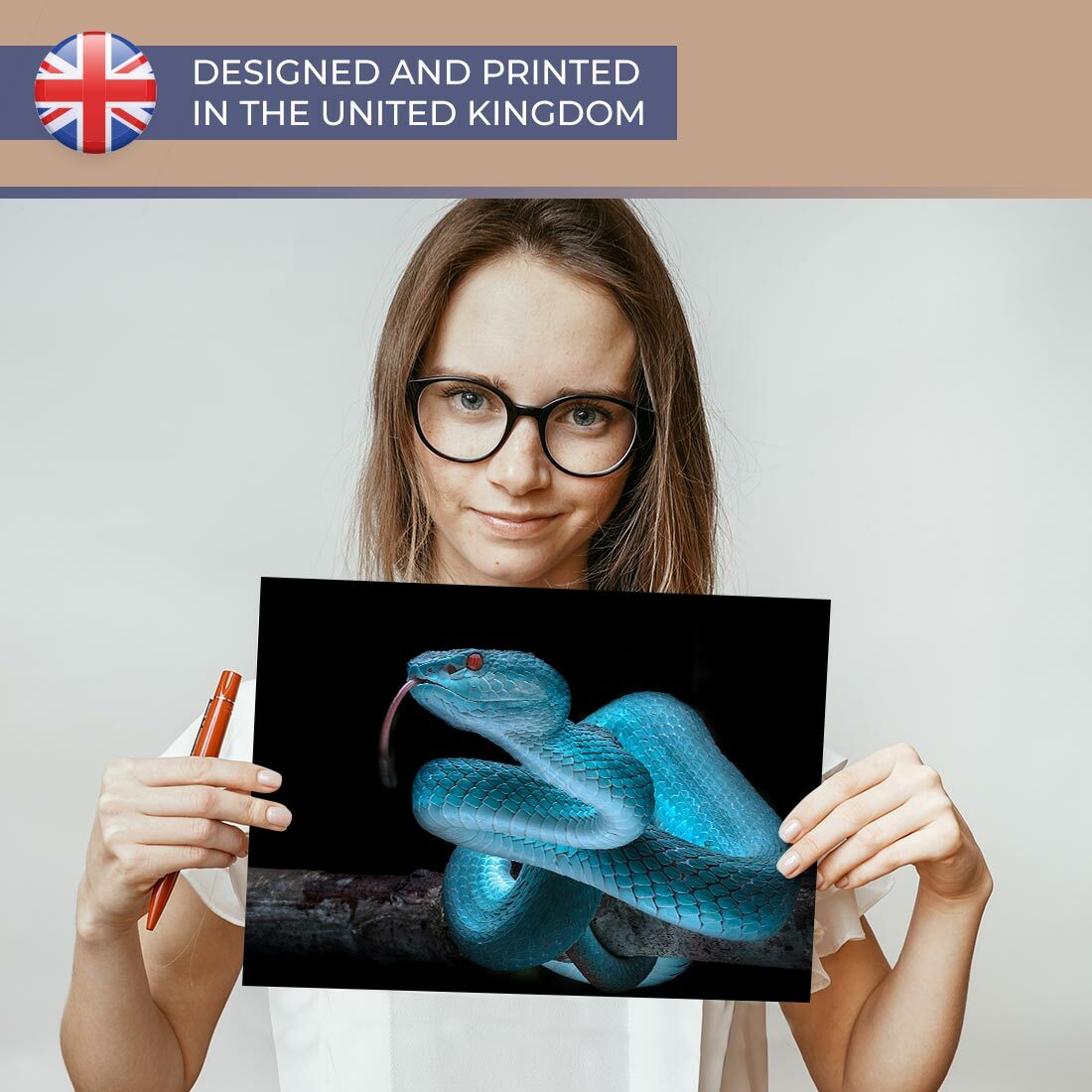 A4 - Blue Viper Snake Reptile Snakes Poster 29.7X21cm280gsm #15532 | eBay