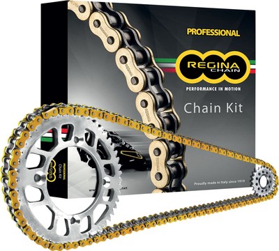 Regina 137 ZRT 110 Rivet Link 525 Z-Ring Chain Kit 15T Front & 42T Rear ...