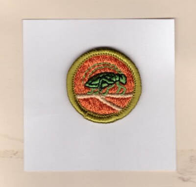Merit Badge Insect Life G1 - 1969-72 Type G - Mint! - Cloth Back | eBay