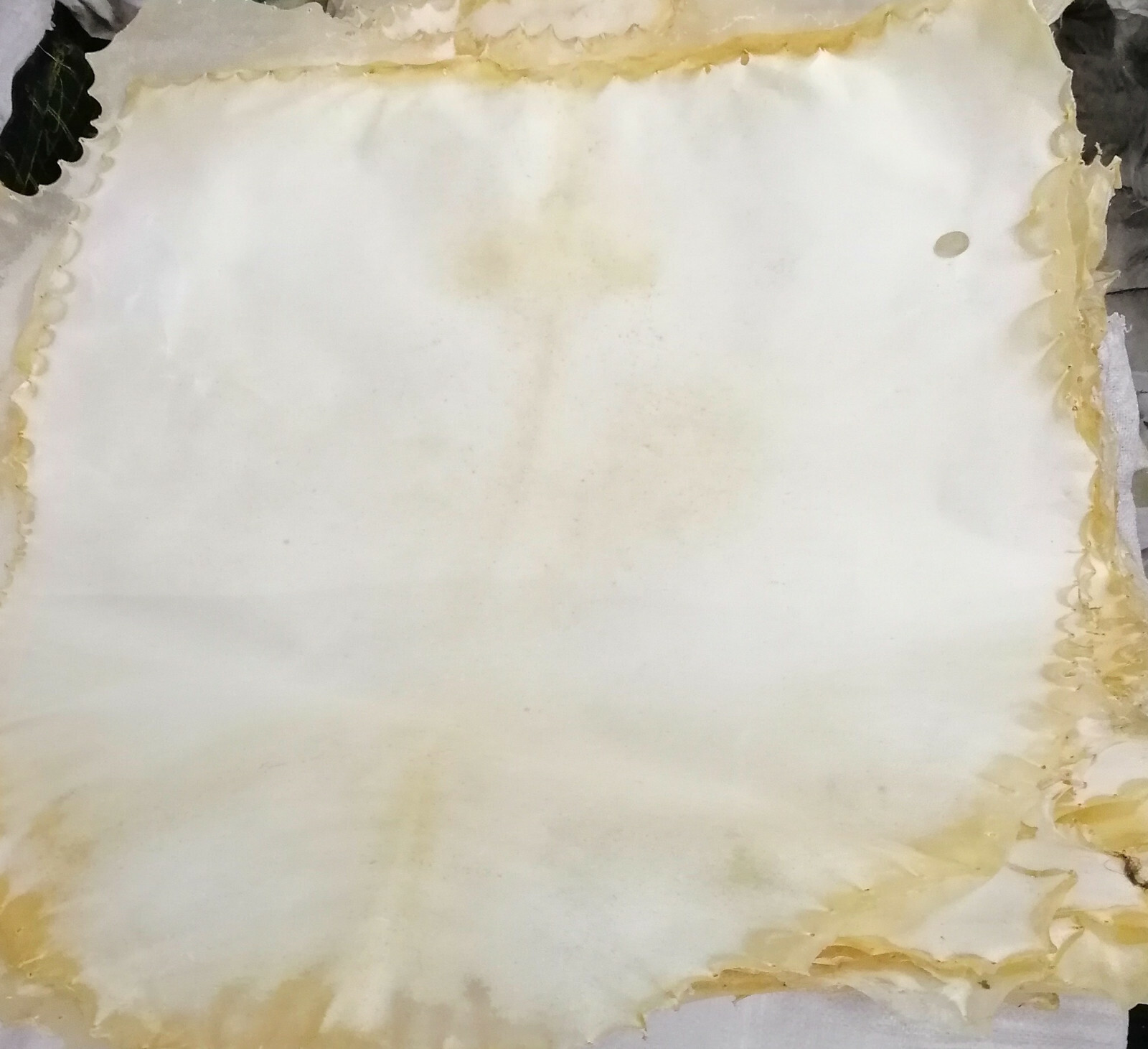 Vellum parchment goat skin natural white for furniture calligraphy book ...