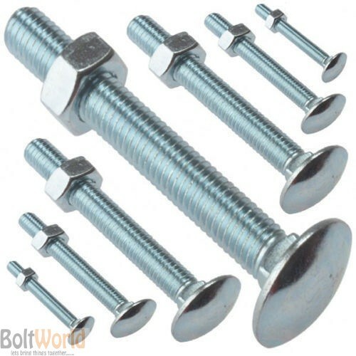 M16 / 16mm COACH BOLTS CUP SQUARE CARRIAGE BOLT SCREWS WITH HEXAGON ...