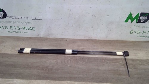 2019-2024 FORD EDGE HOOD BONNET LEFT&RIGHT SIDE SHOCK STRUT LIFT ...