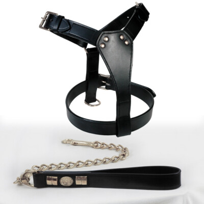 LEATHER DOG HARNESS + CHAIN LEAD SET FITTED WITH CHROME FINISH HARDWARE ...