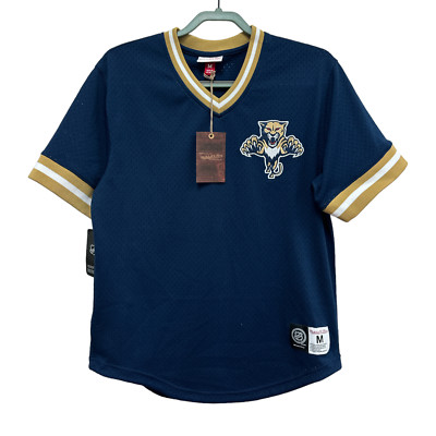 Mitchell & Ness Women's Florida Panthers Blue Mesh V-Neck Jersey (Size ...