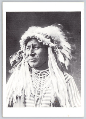 White Swan Crow Indian Chief Postcard UNP 6x4 FA Rinehart Omaha NE 1898 ...