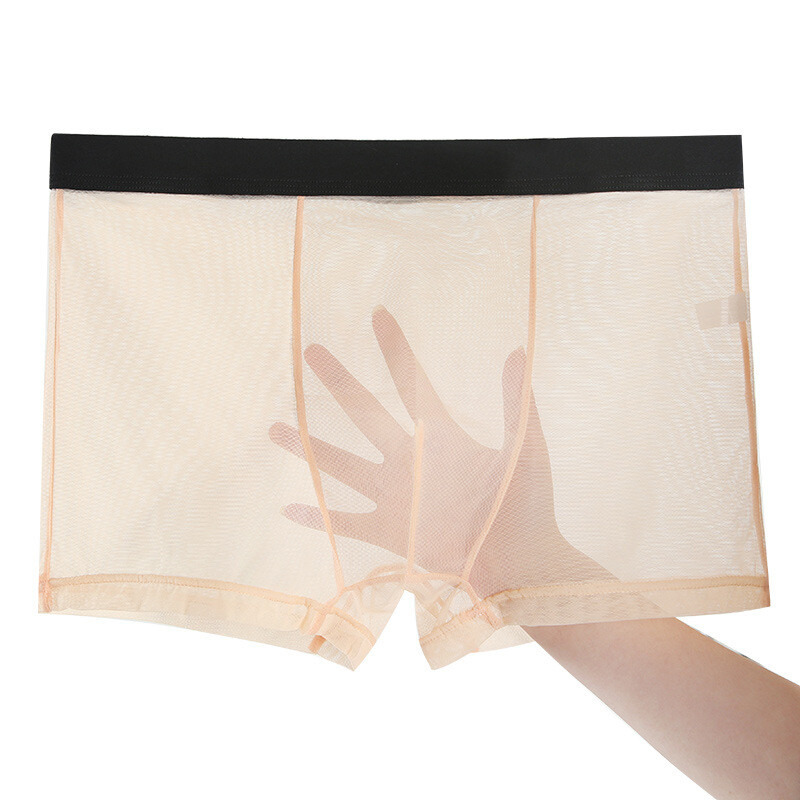 Sexy Mens Sheer See Through Boxer Briefs Underwear Mesh Shorts Trunks ...